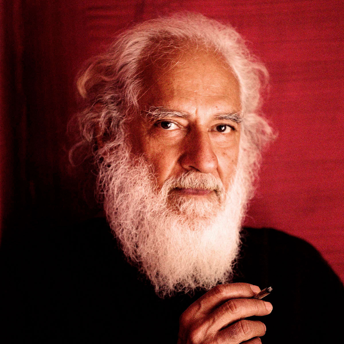 Engraving of a Bison on Stone – Poets Corner